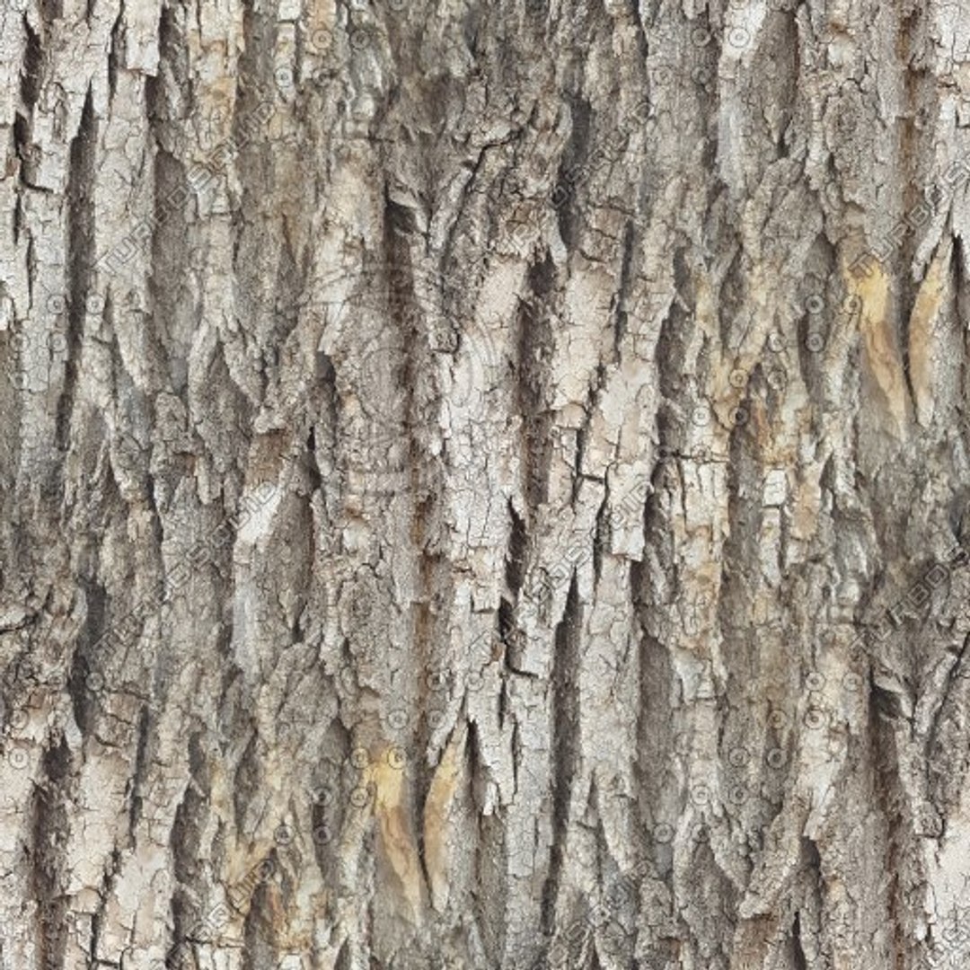 Tree bark - TurboSquid 1258780