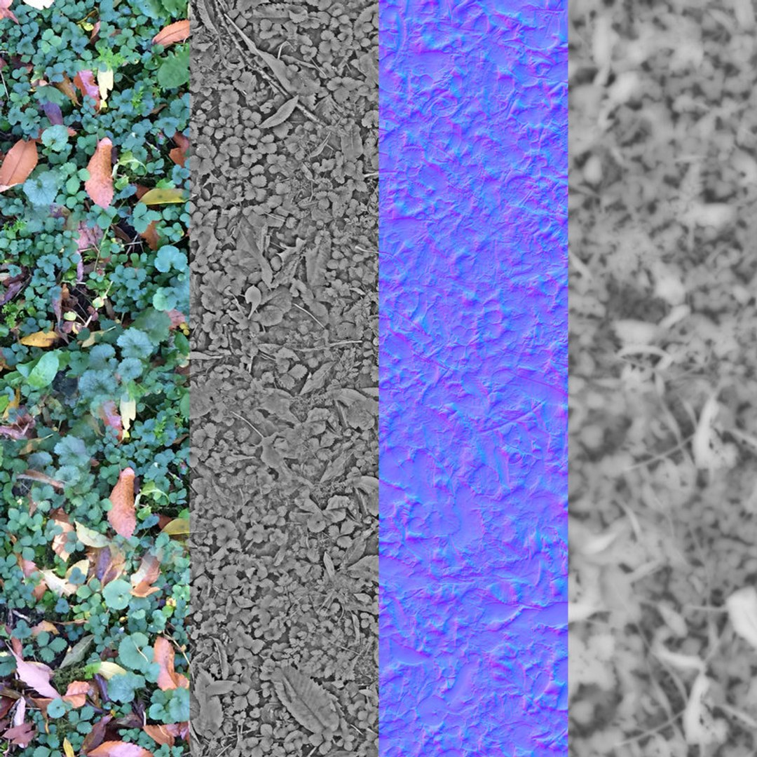 6 Seamless Leaf Material Textures - TurboSquid 1353454