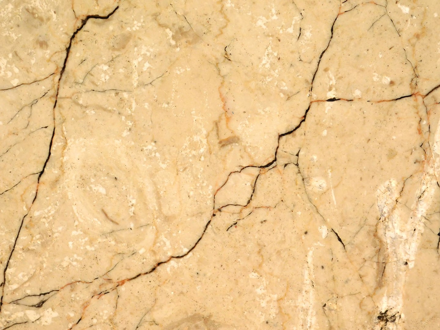 Stone Texture - TurboSquid 1374014