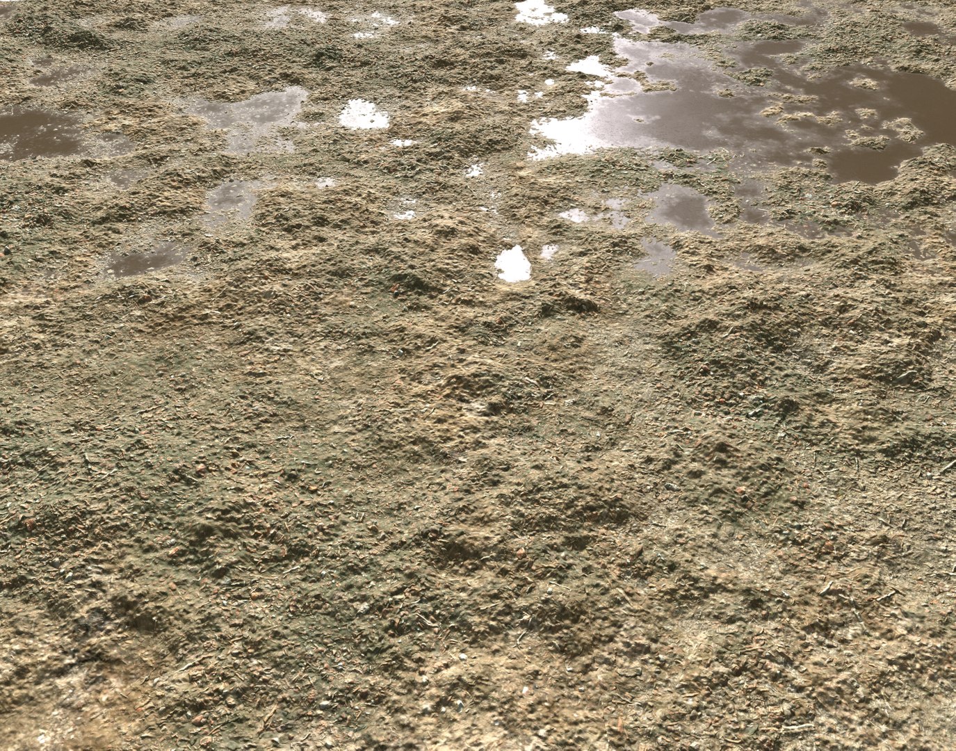 Dirty Terrain Seamless PBR Texture - TurboSquid 1405606