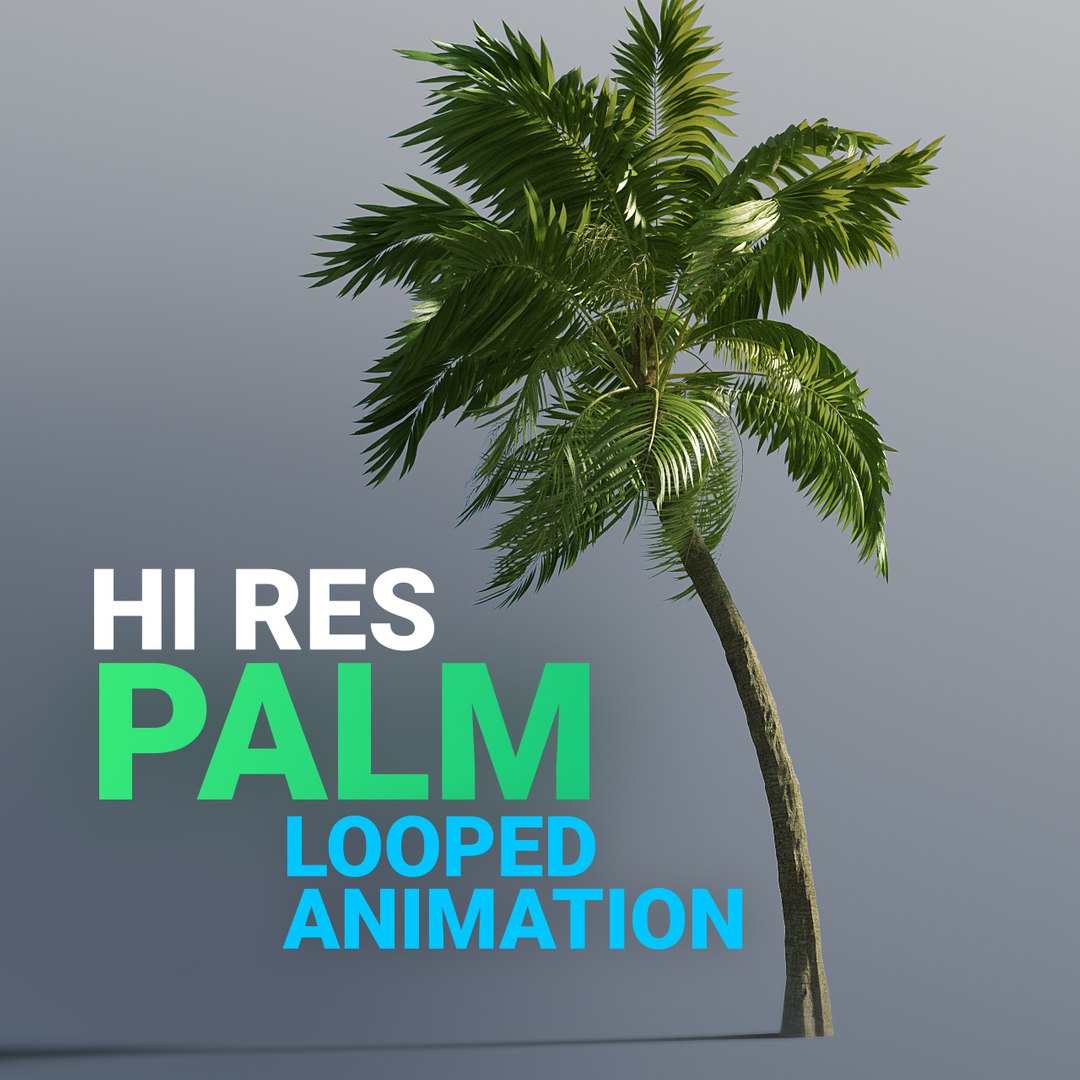 3D Model Hi Resolution Palm Tree - TurboSquid 1426347