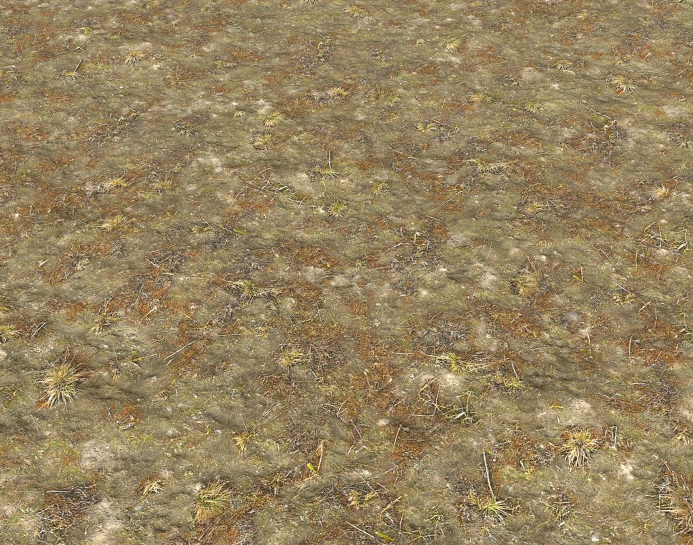 Tundra Grass Terrain Pack - TurboSquid 1428002