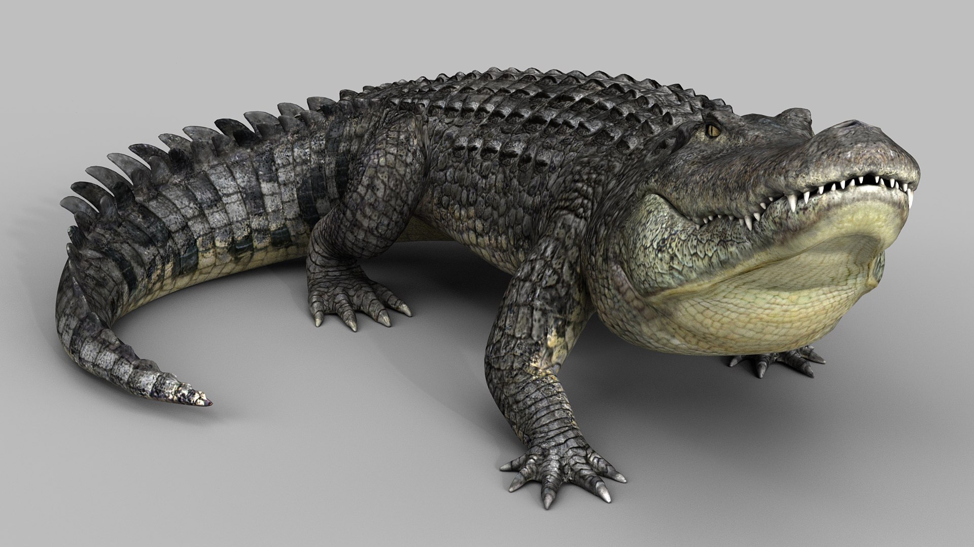 3D alligator animations model - TurboSquid 1450473