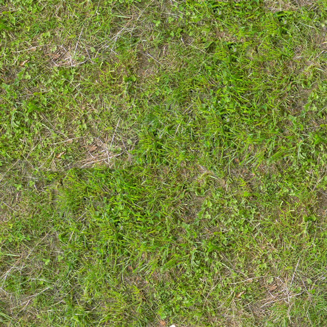 Grass008 - TurboSquid 364237