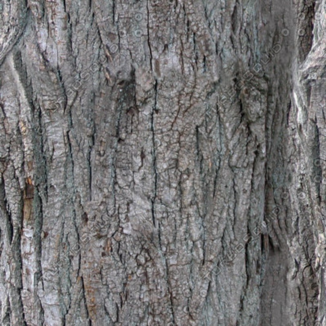 Bark_03 - TurboSquid 382544