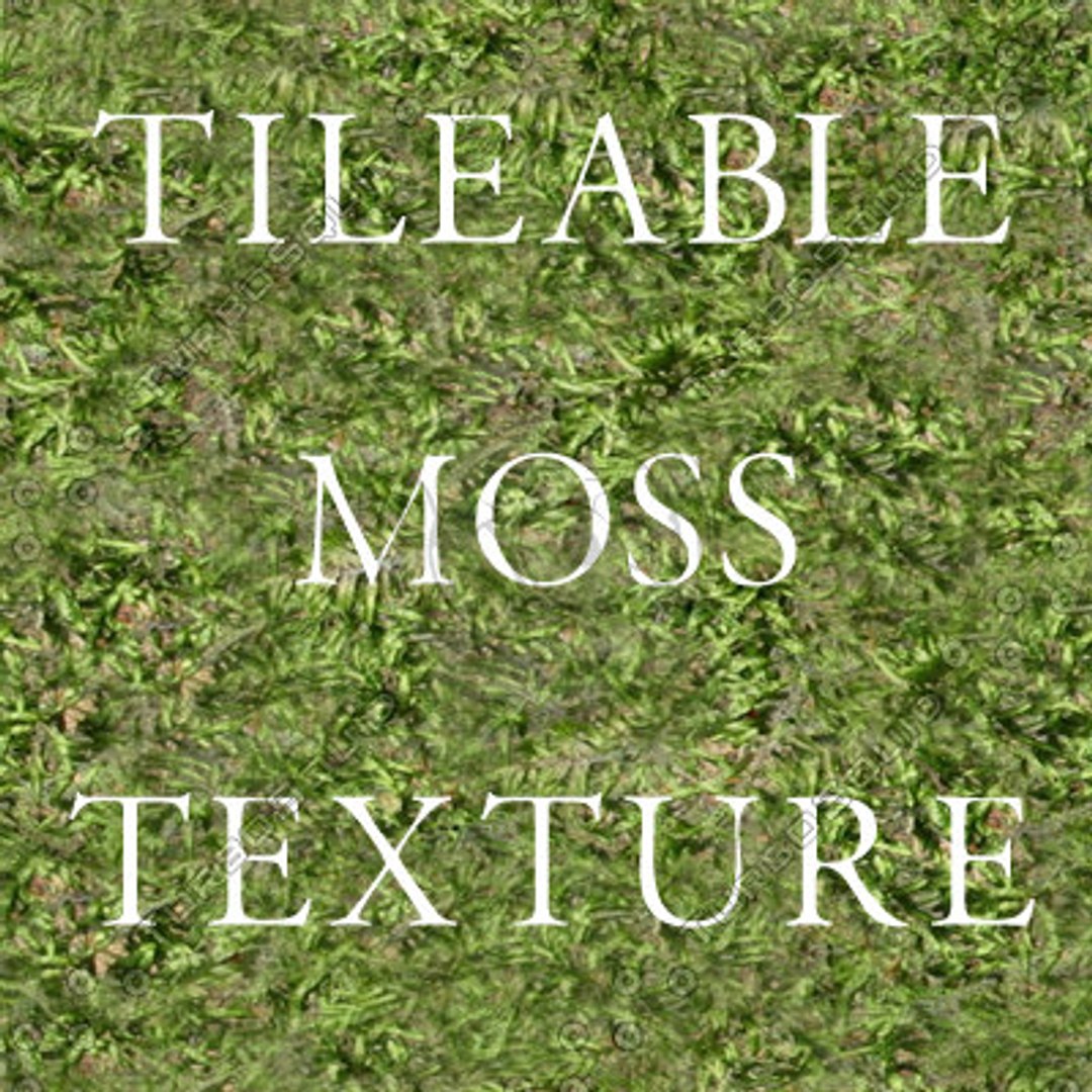 Tileable Moss Texture - TurboSquid 385133