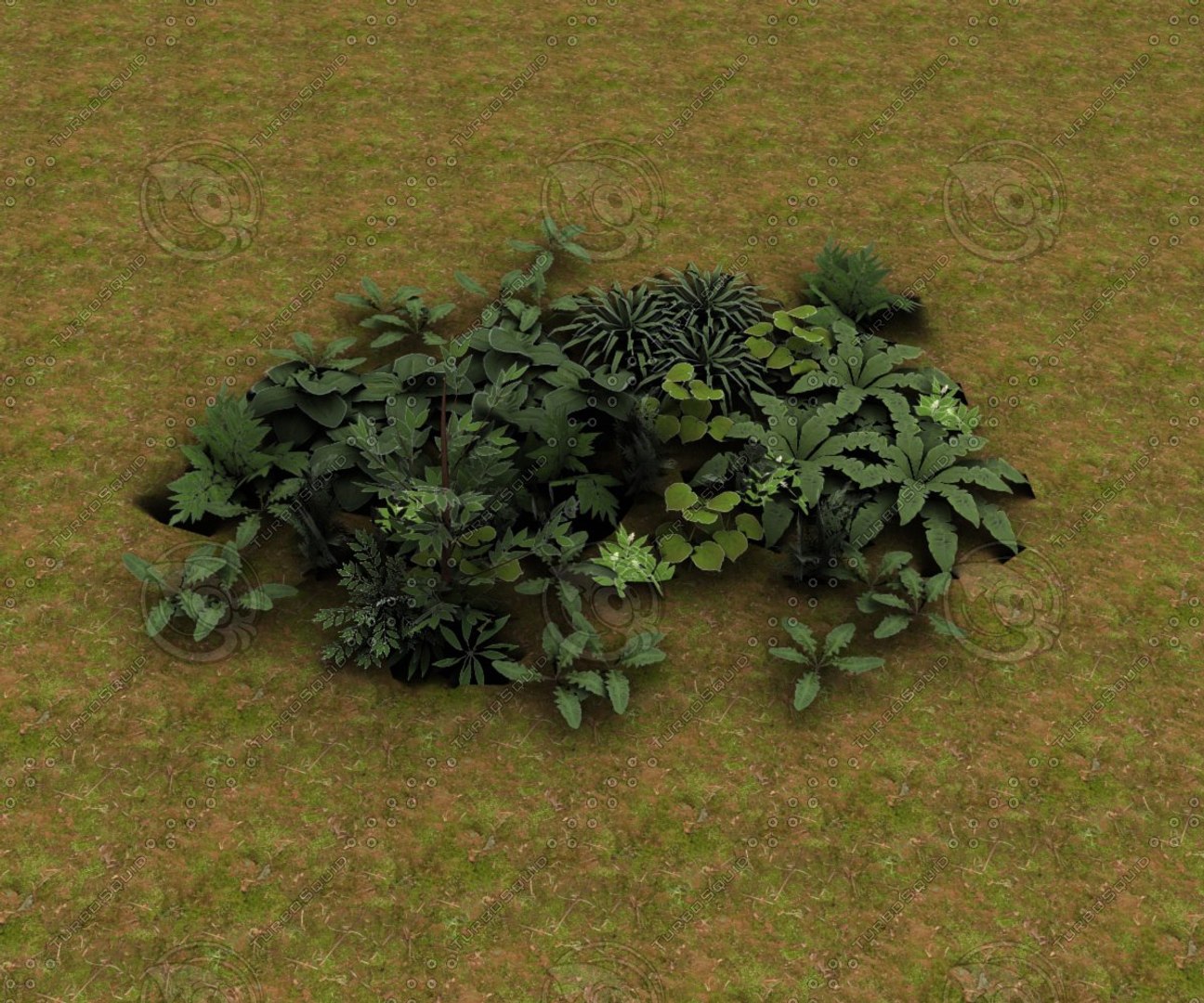 The Foliage Collection - TurboSquid 421058