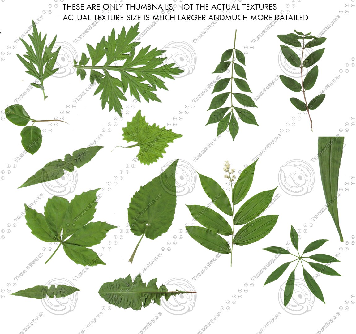 The Foliage Collection - TurboSquid 421058