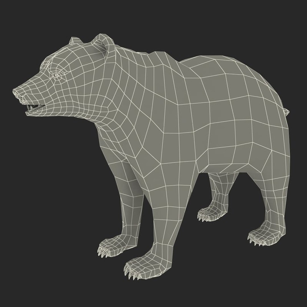 3D bear rigged - TurboSquid 1468689