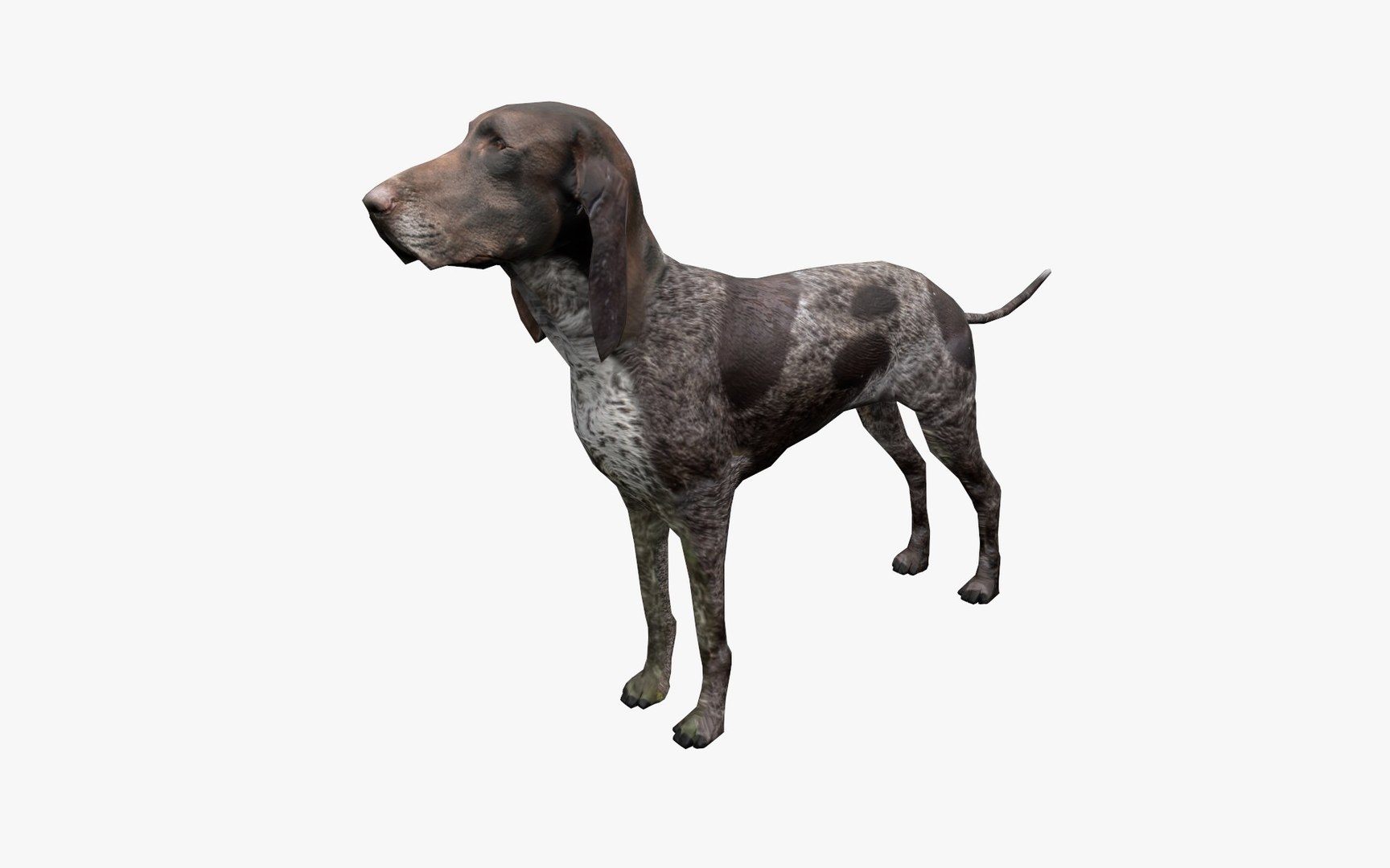 3D Dog Animation Model - TurboSquid 1475980