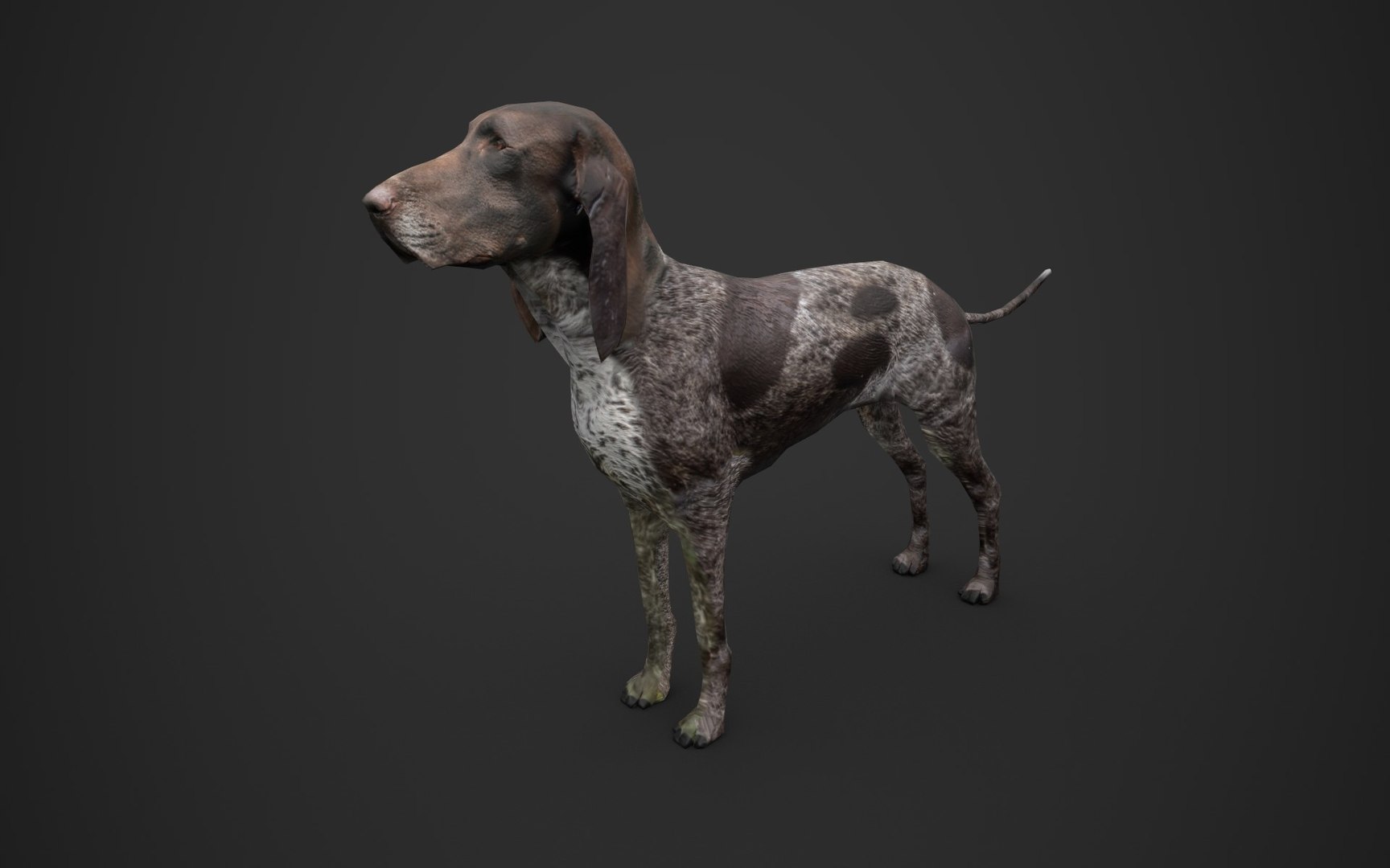 3D Dog Animation Model - TurboSquid 1475980