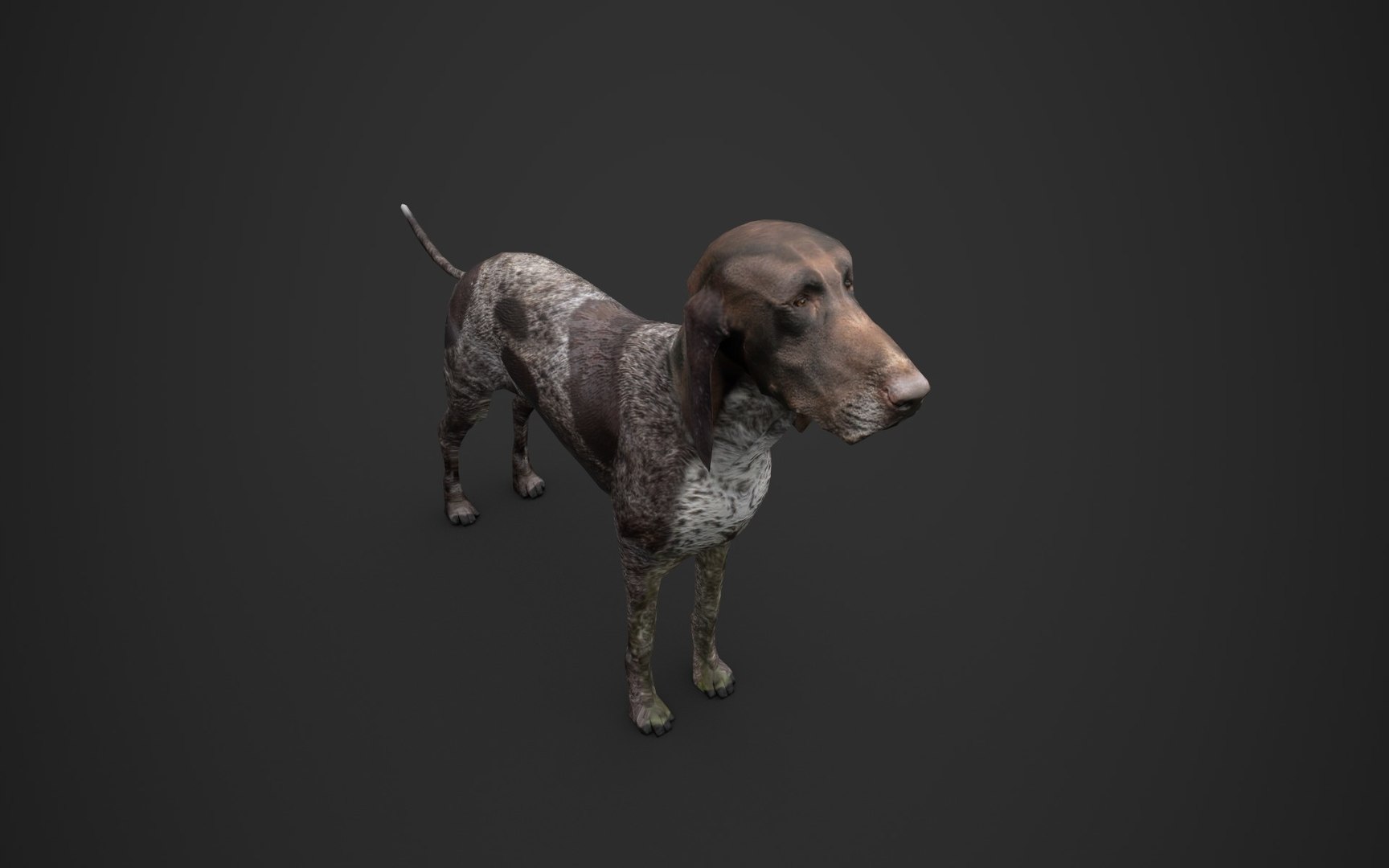 3D Dog Animation Model - TurboSquid 1475980
