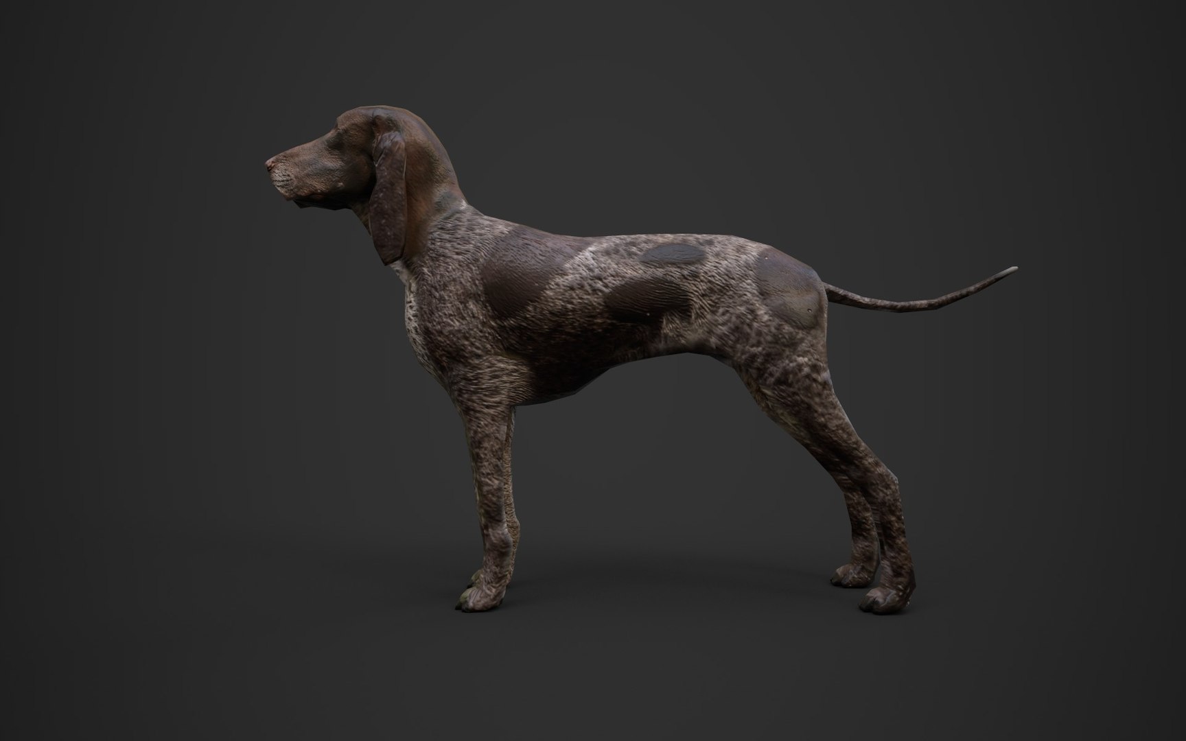 3D Dog Animation Model - TurboSquid 1475980