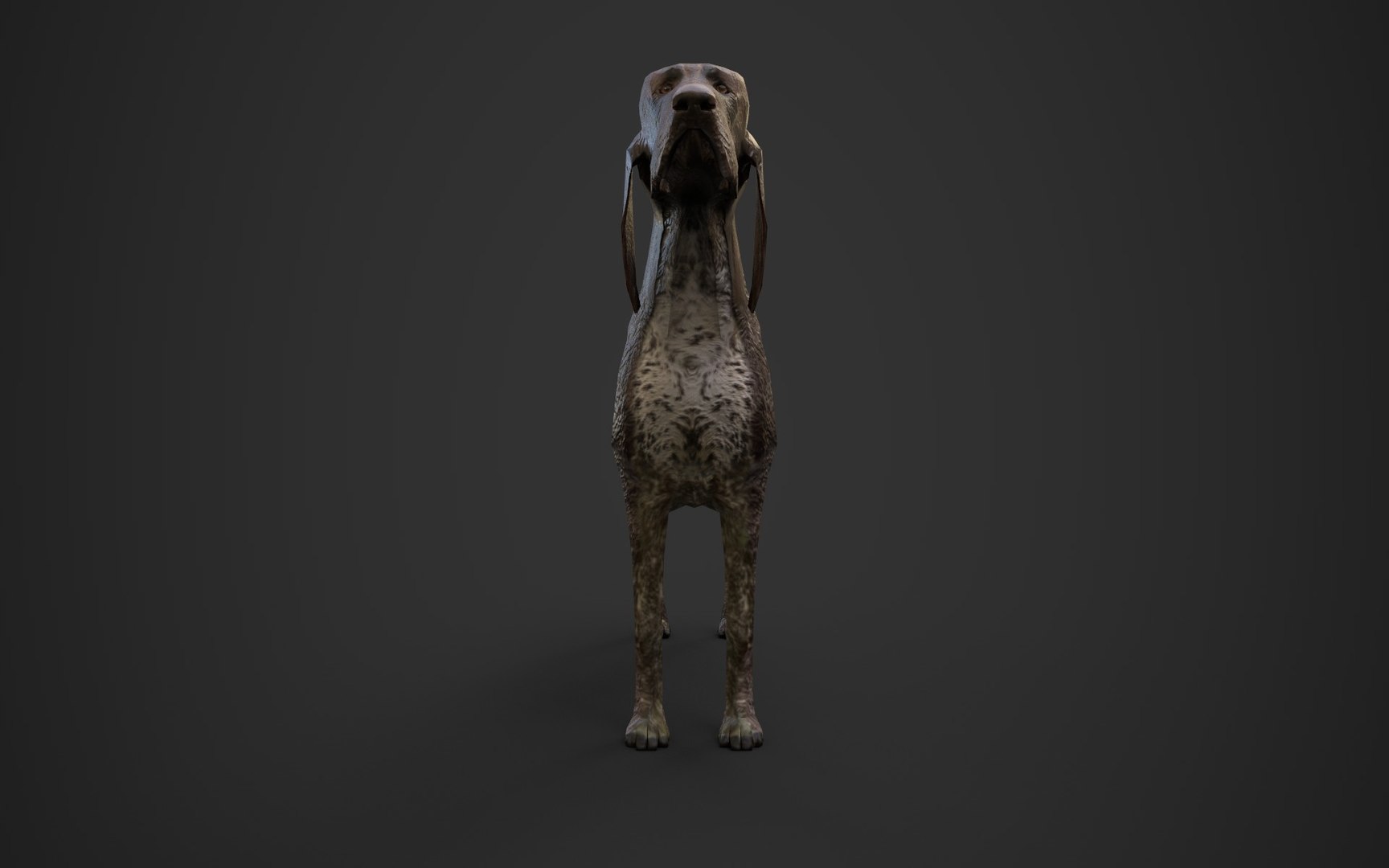 3D Dog Animation Model - TurboSquid 1475980