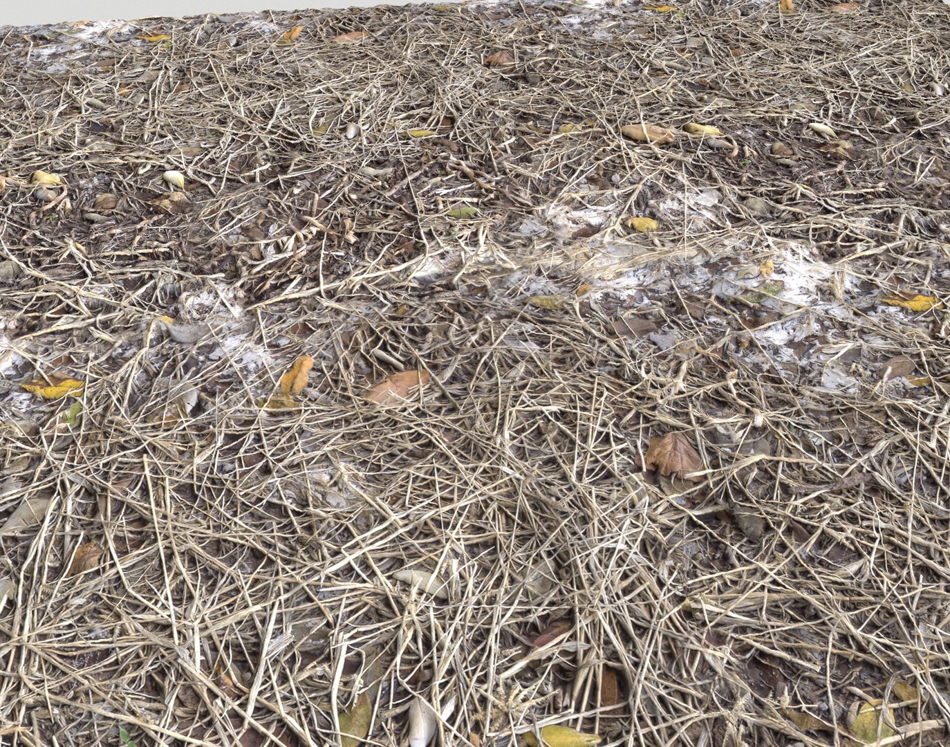 Forest Terrain Dirt Pack 12 - TurboSquid 1487275