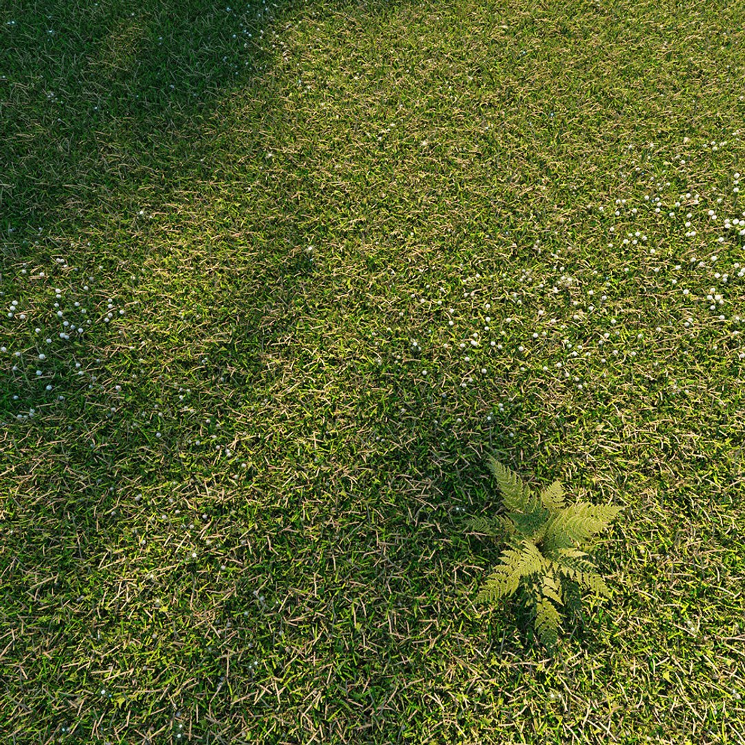 Wild Grass Exterior 3D Model - TurboSquid 1491121