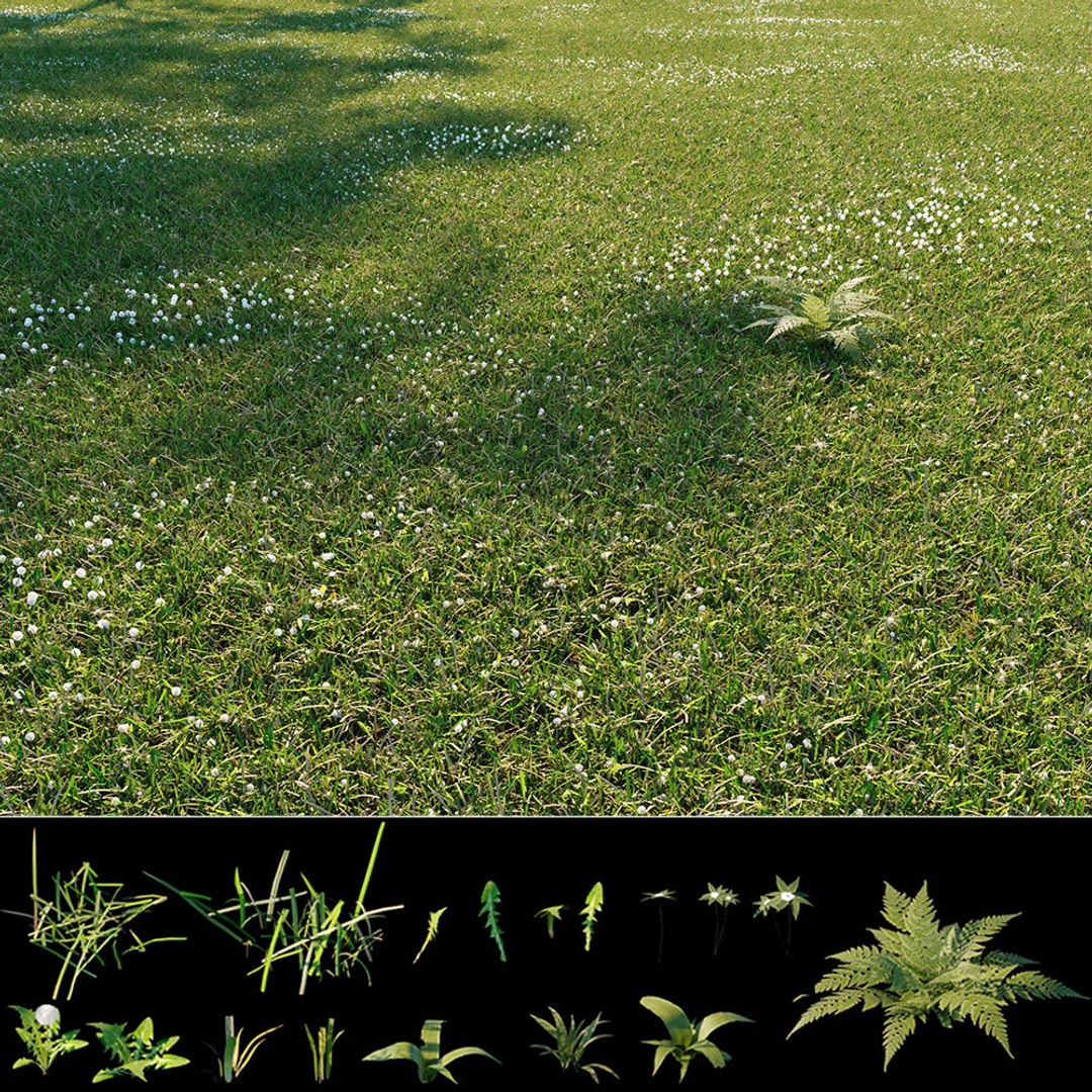 Wild Grass Exterior 3D Model - TurboSquid 1491121