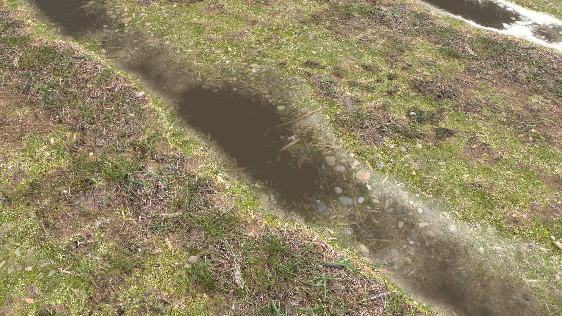 Forest ground PBR Pack 12 - TurboSquid 1571497