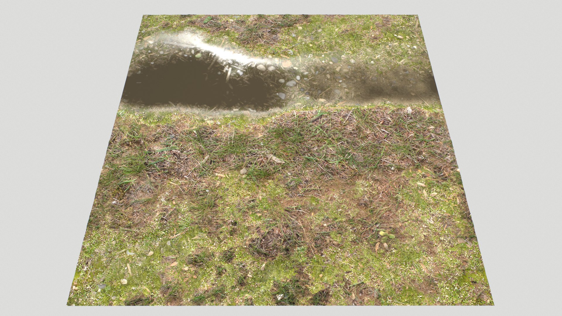 Forest ground PBR Pack 12 - TurboSquid 1571497