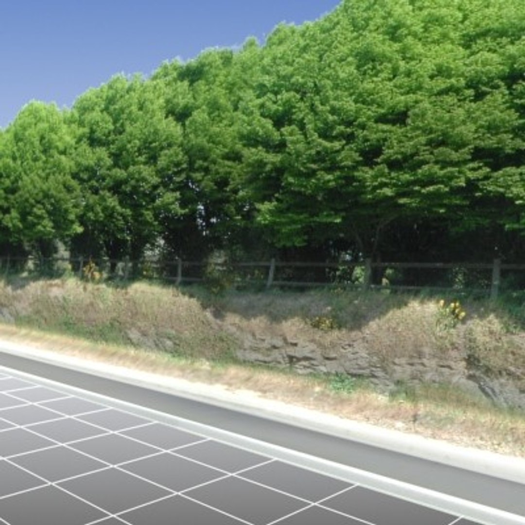 Tree line Roadside.tga - TurboSquid 228502