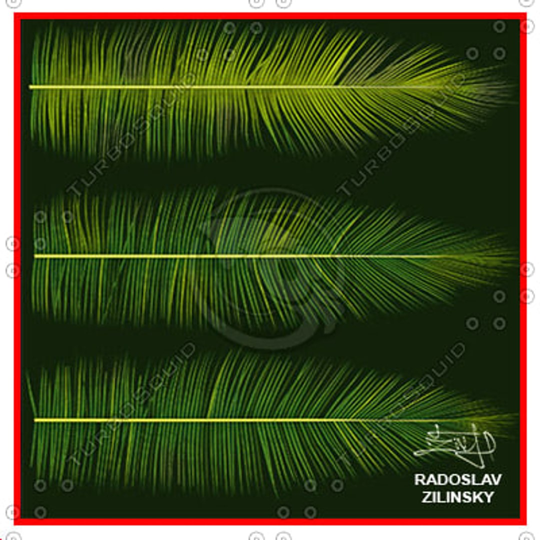 Leaves PALM - Texture (HIGH Resolution) - TurboSquid 486511