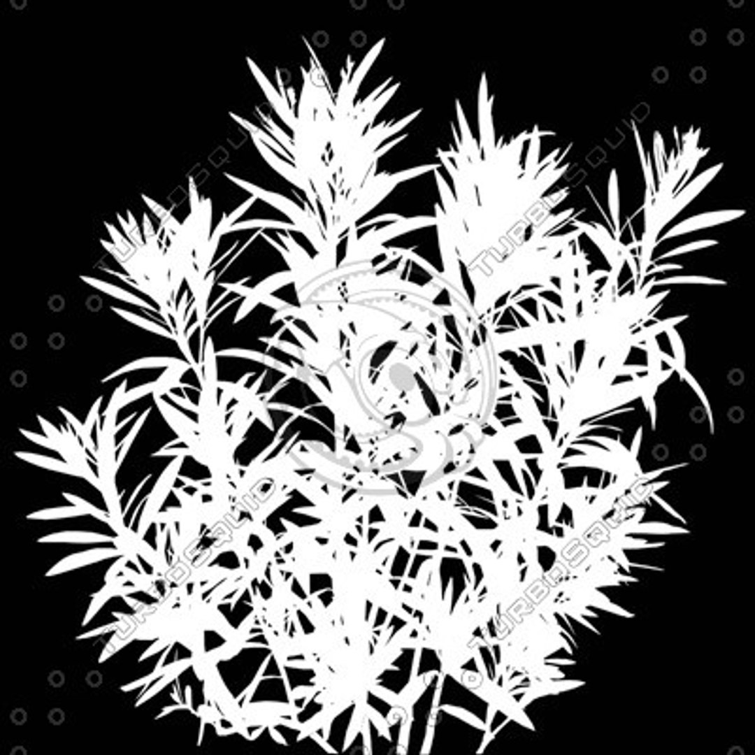 Bush_Tr_32.tga - TurboSquid 368224