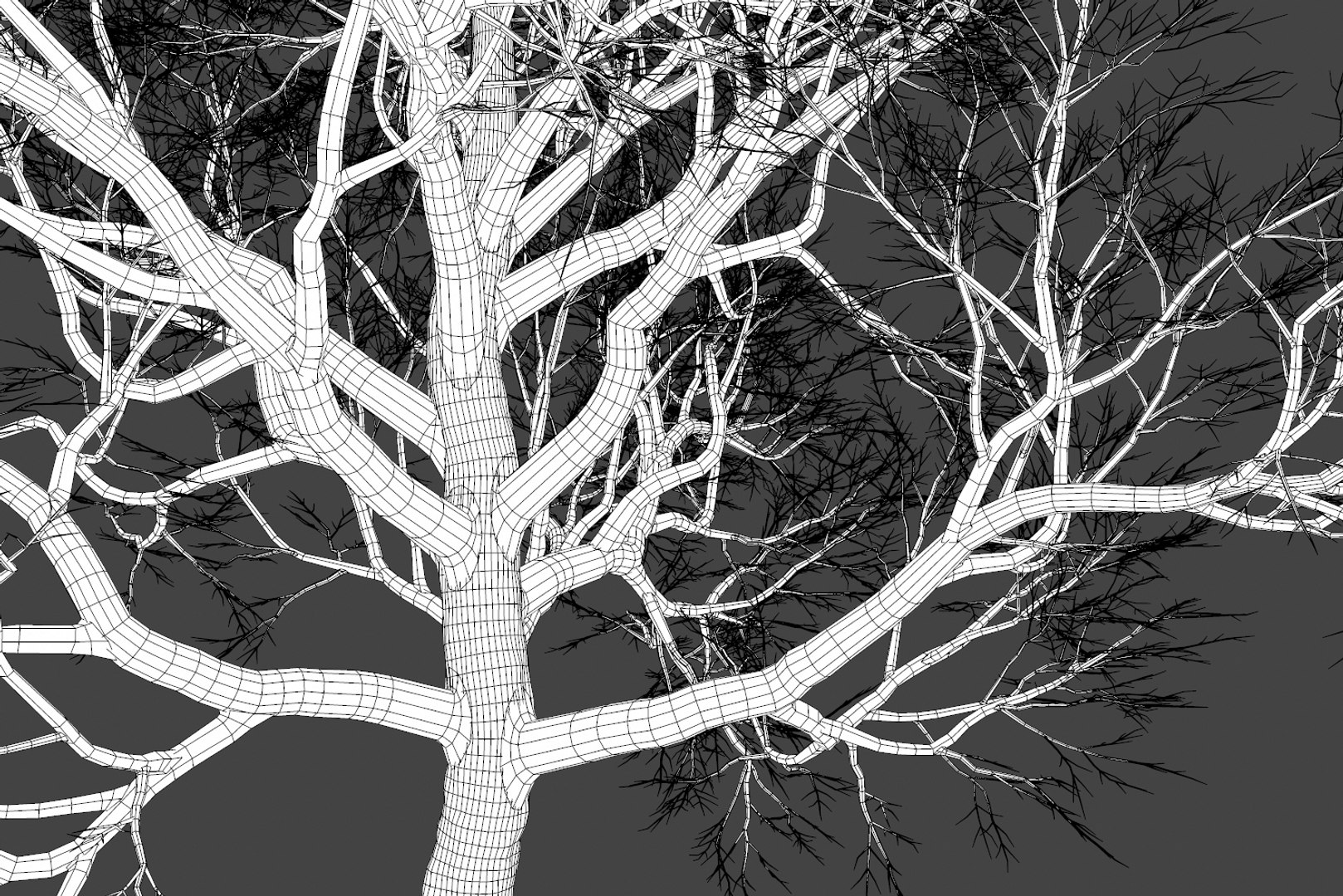 3D Model Oak Dry 1 Tree - TurboSquid 1386757