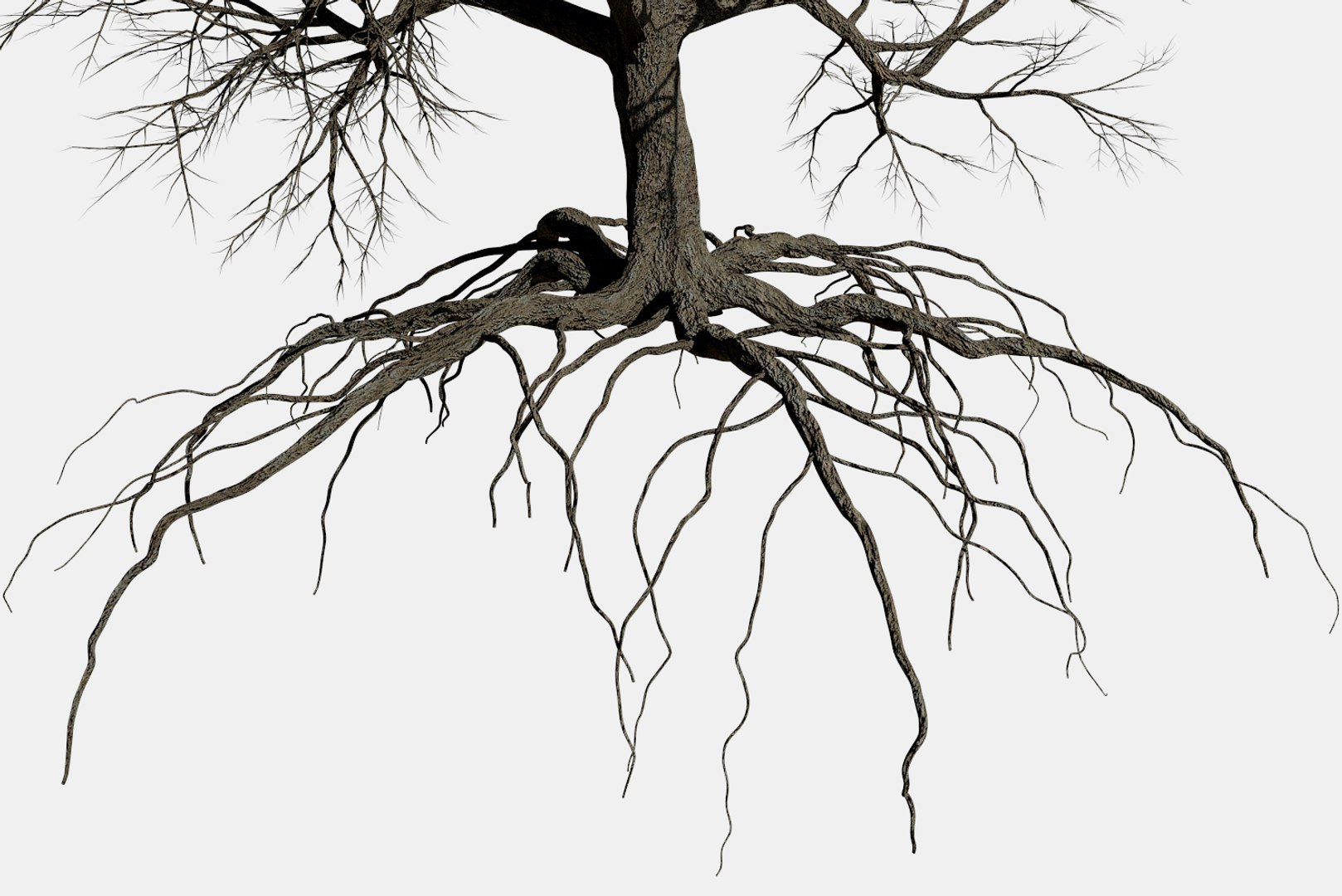 3D model oak dry 1 tree - TurboSquid 1386757