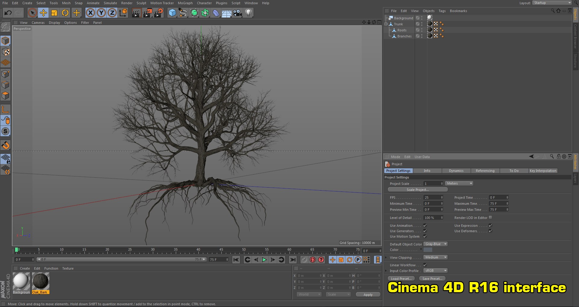 3D model oak dry 1 tree - TurboSquid 1386757