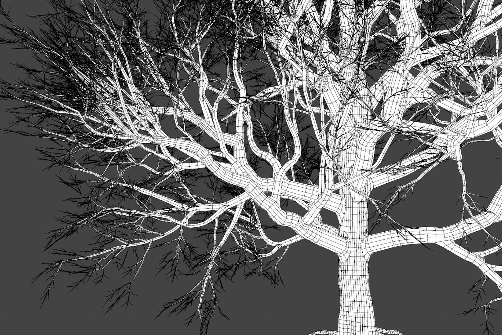 3D Model Oak Dry 1 Tree - TurboSquid 1386757