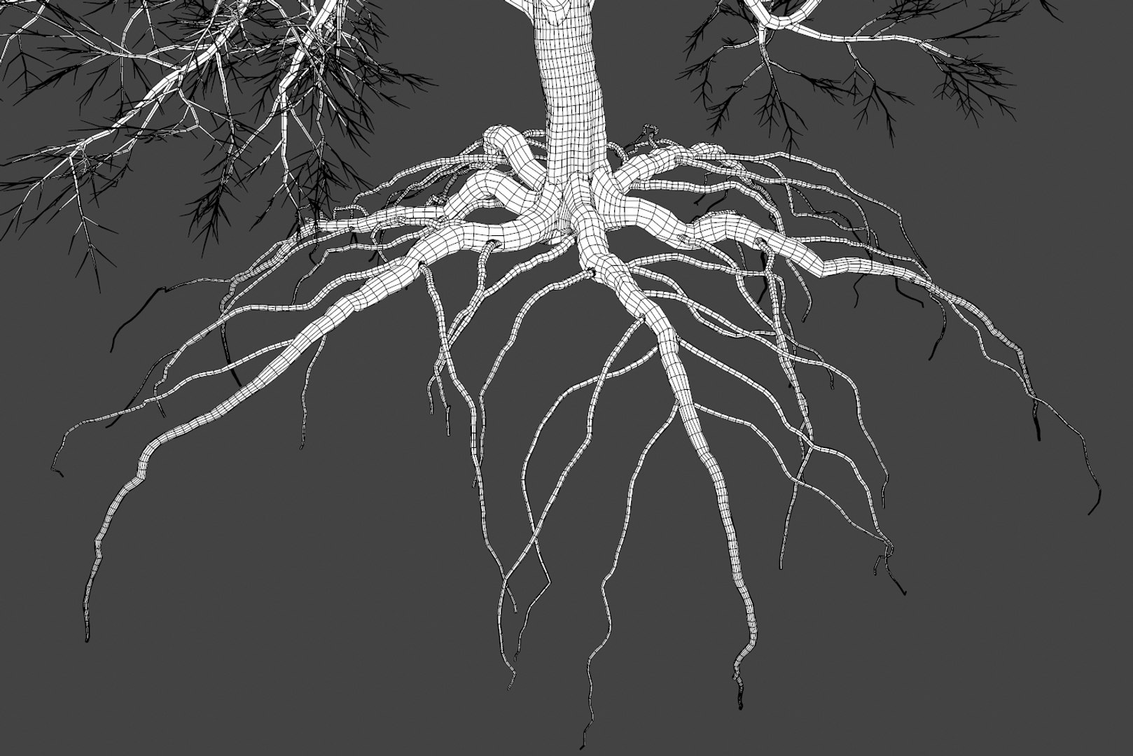 3D Model Oak Dry 1 Tree - TurboSquid 1386757