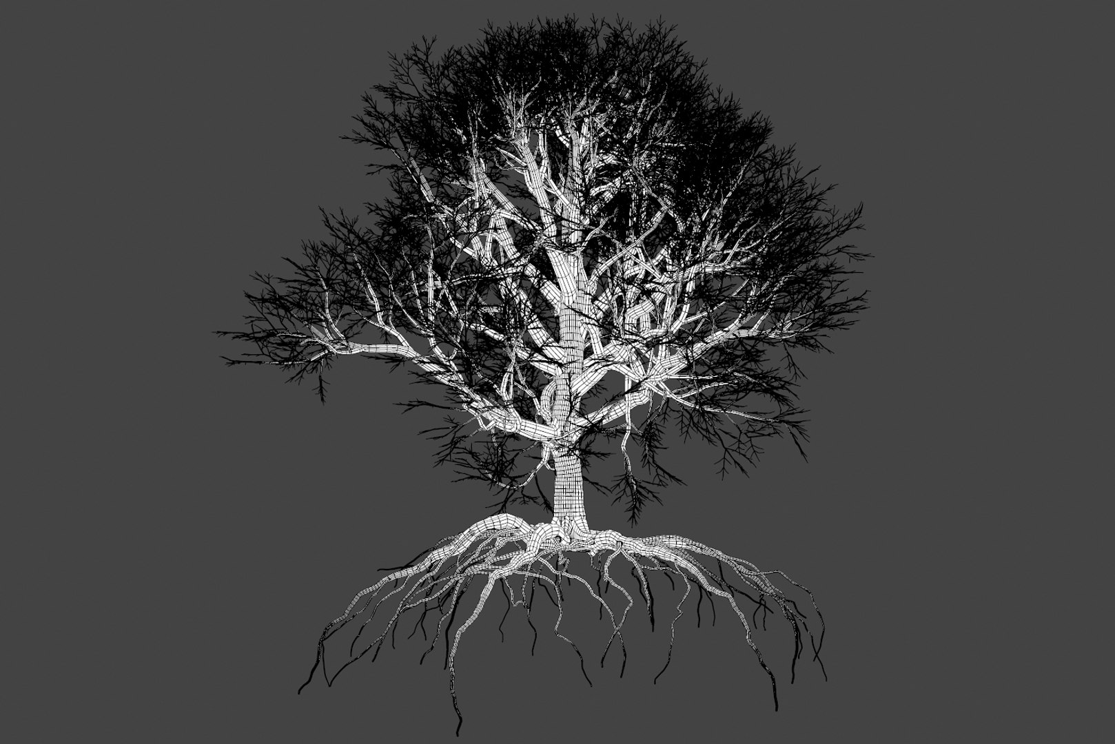 3D model oak dry 1 tree - TurboSquid 1386757