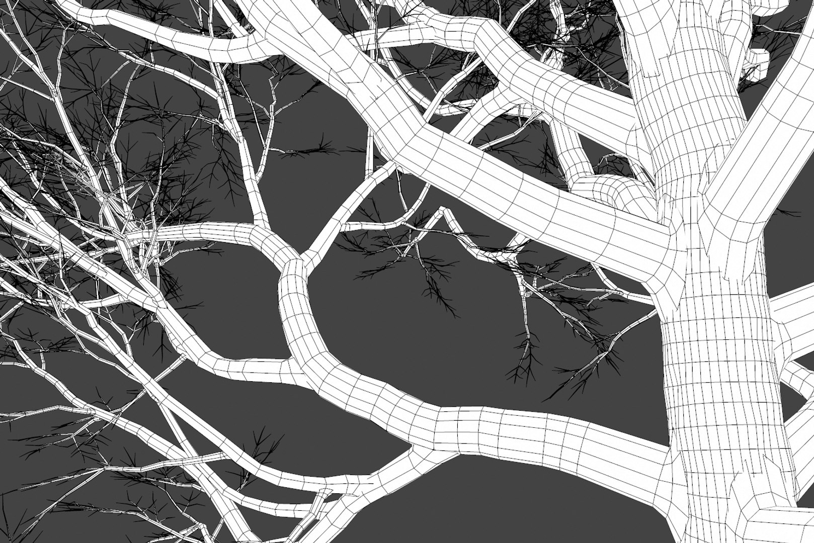 3D Model Oak Dry 1 Tree - TurboSquid 1386757