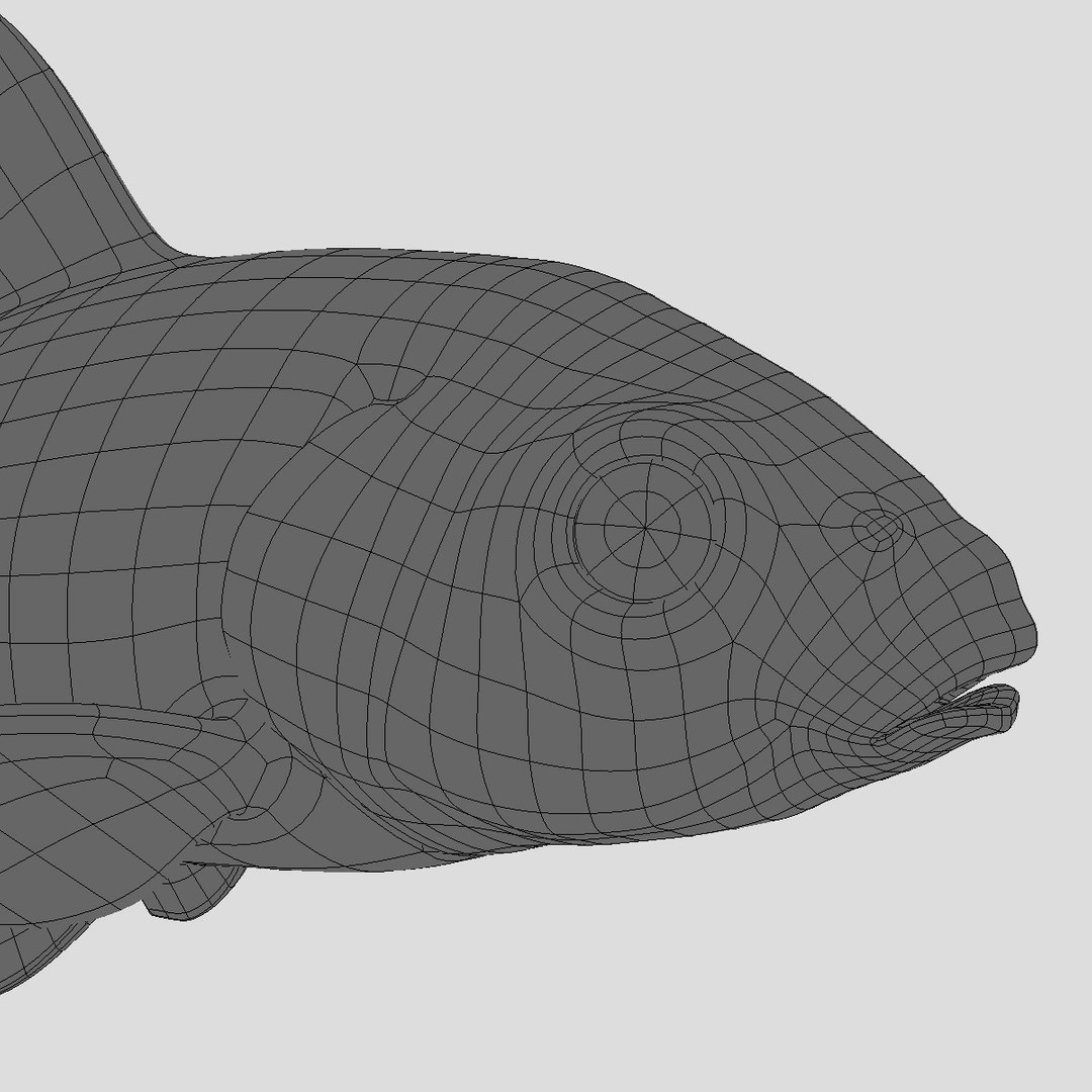 Fish Goldfish 3d Obj