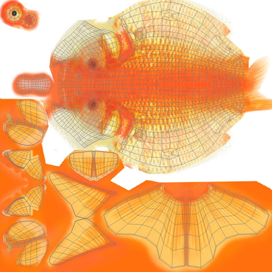 Fish Goldfish 3d Obj