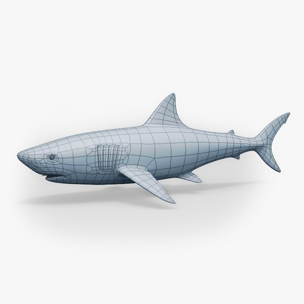 modelo 3d TIBURON 3D - TurboSquid 1322893