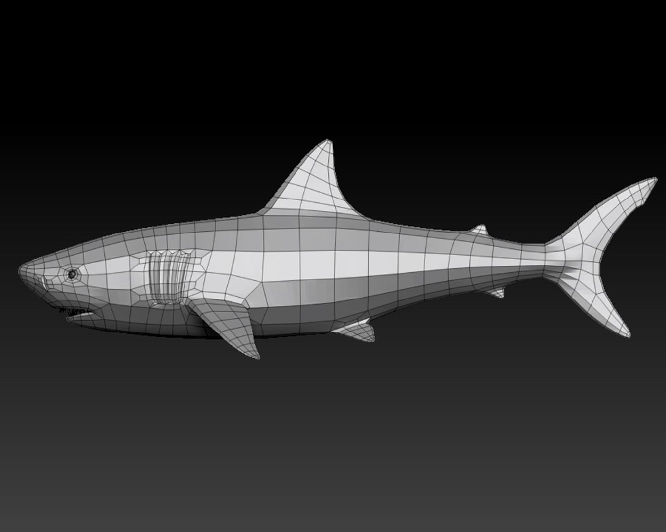 3D shark beast - TurboSquid 1322893