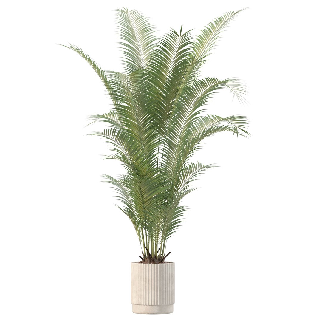 3D 20 Photorealistic Flowers For Interiors - Set 201 205 211 214 ...