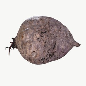 Low Poly 3D Whiteradish Models For Download | TurboSquid