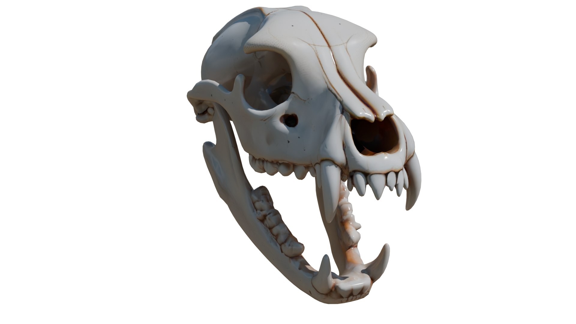 3D Realistic 3D Dog Skull Model UV Unwrapped Single Mesh OBJ FBX Model ...