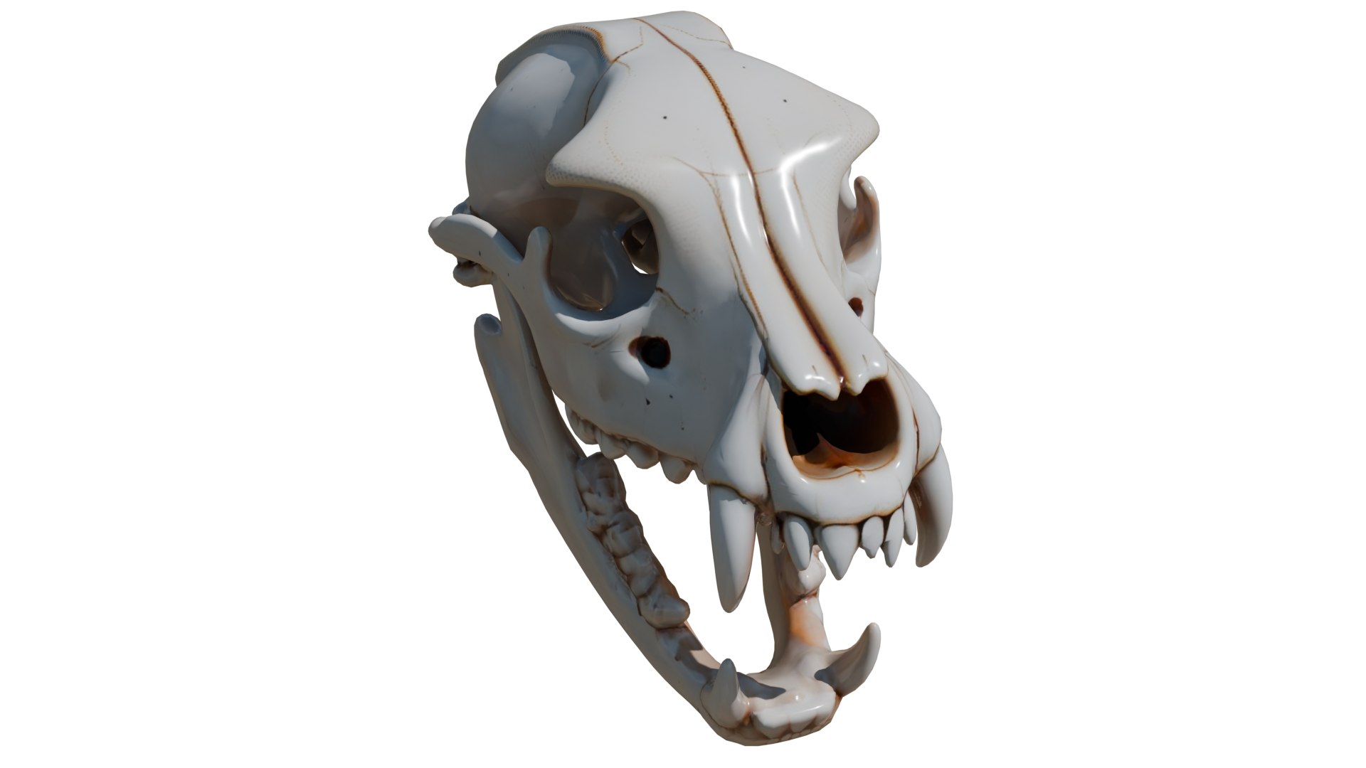 3D Realistic 3D Dog Skull Model UV Unwrapped Single Mesh OBJ FBX Model ...