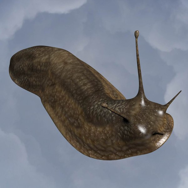 3D Slug Models | TurboSquid