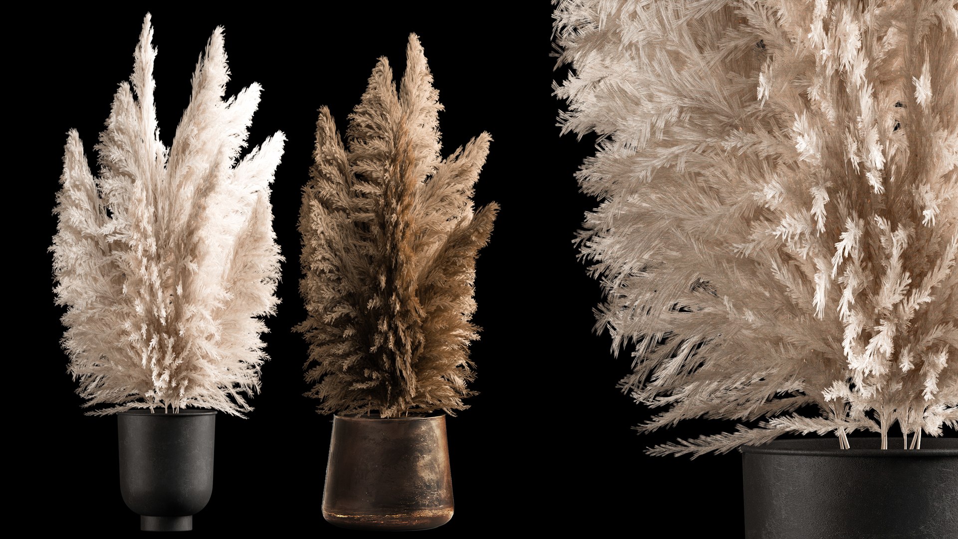 3D Bouquet Of Dry Reeds In A Black Metal Pot 272 - TurboSquid 1940426