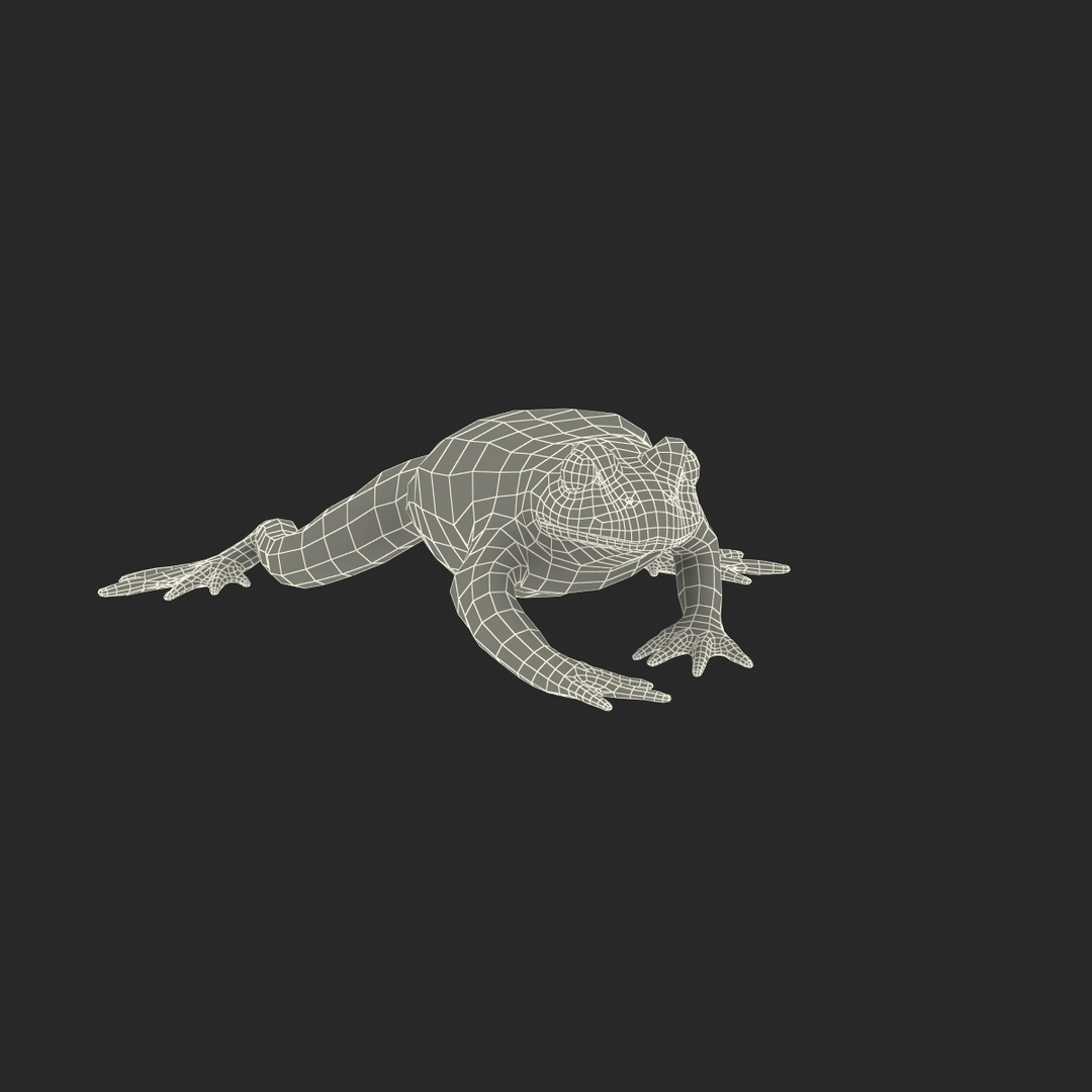 3ds Bellied Toad Frog Pose