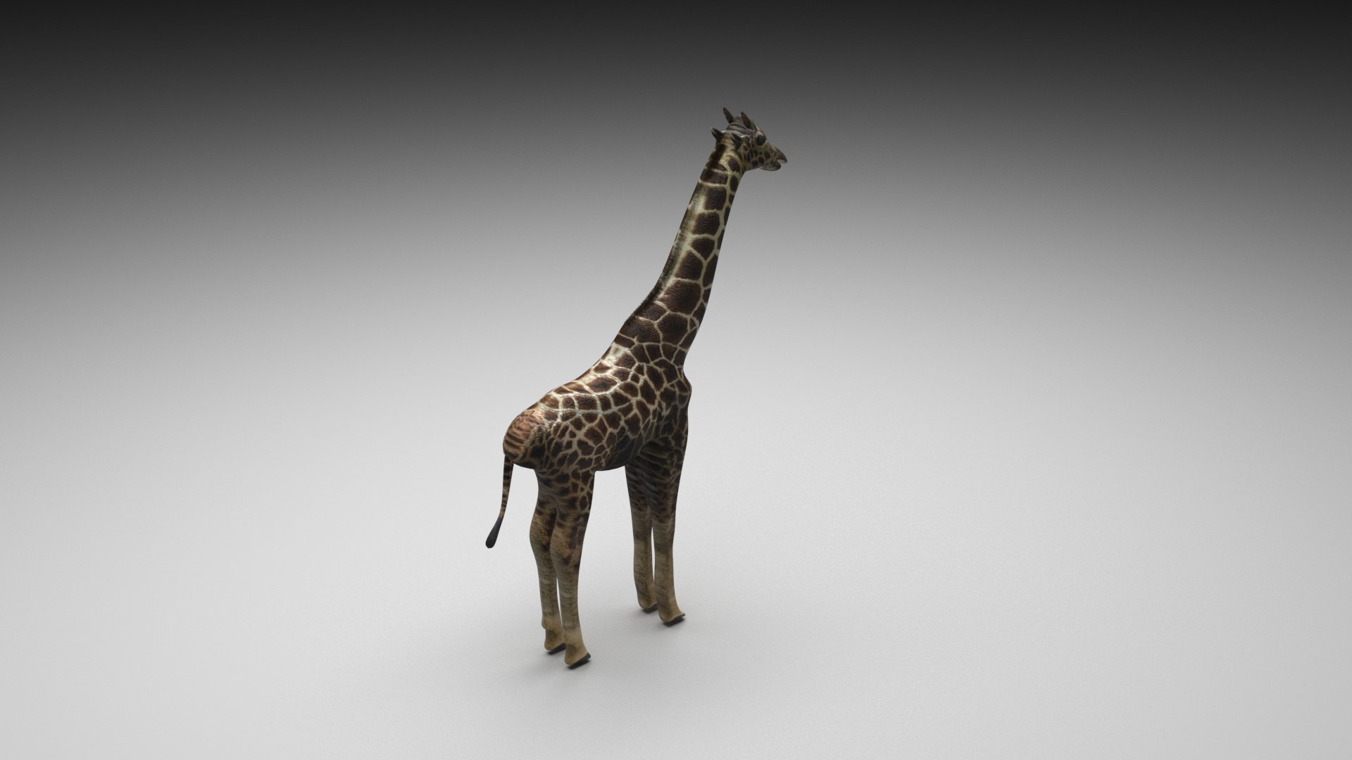 3D Giraffe - TurboSquid 1840348