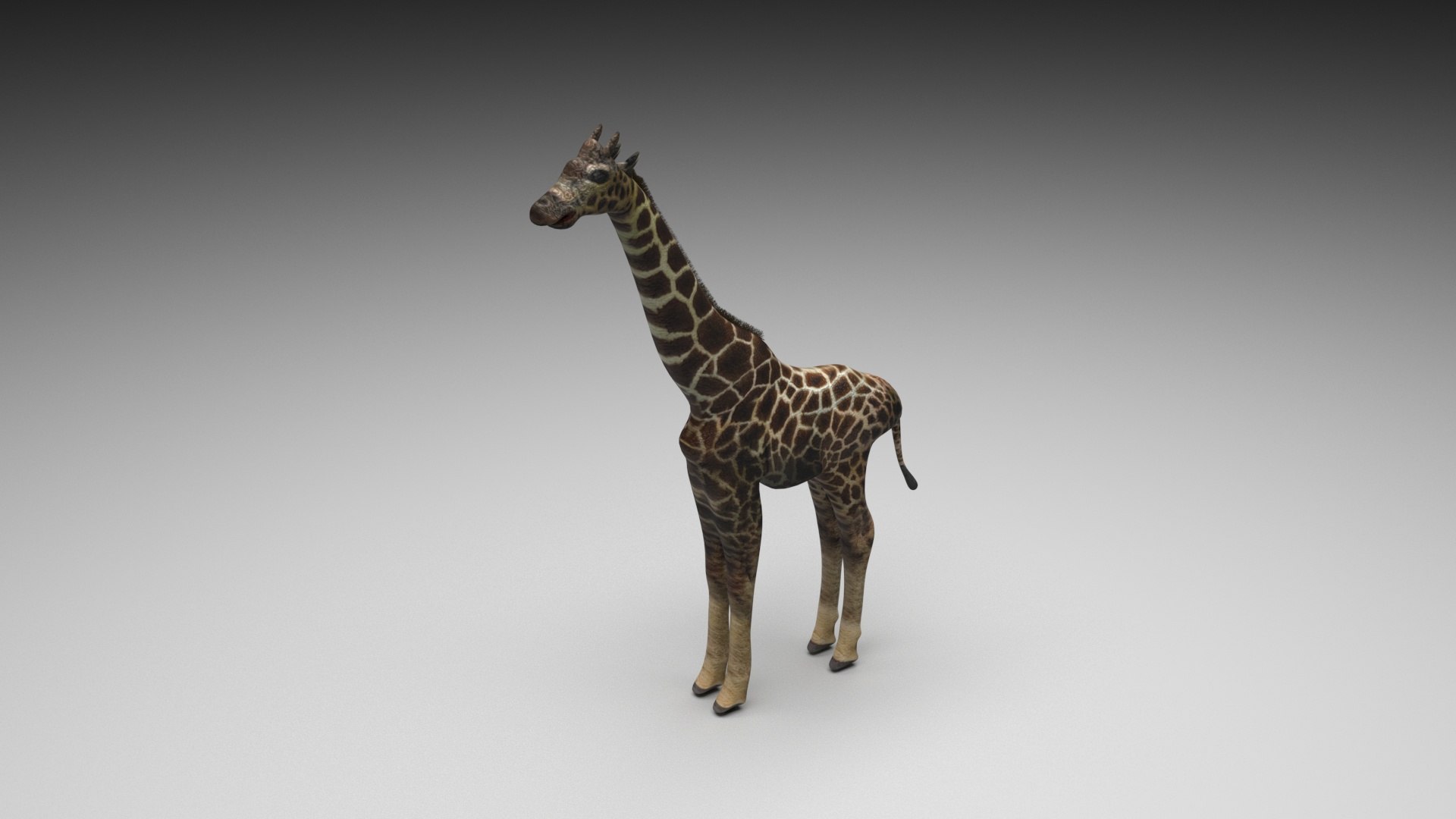 3D Giraffe - TurboSquid 1840348