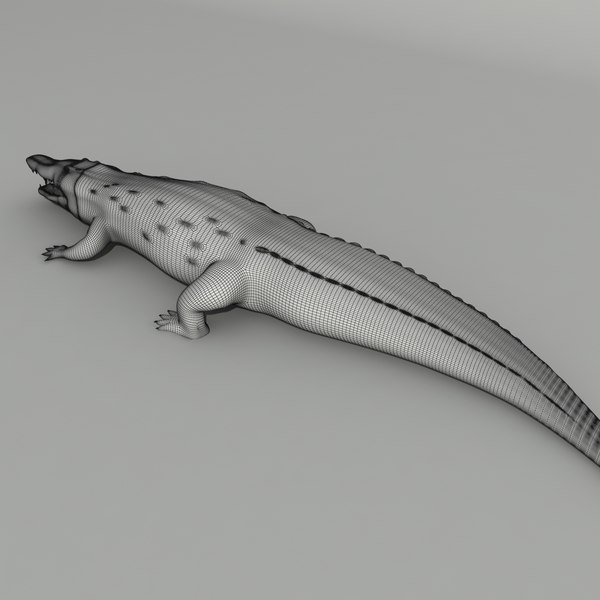 3d crocodile croc model
