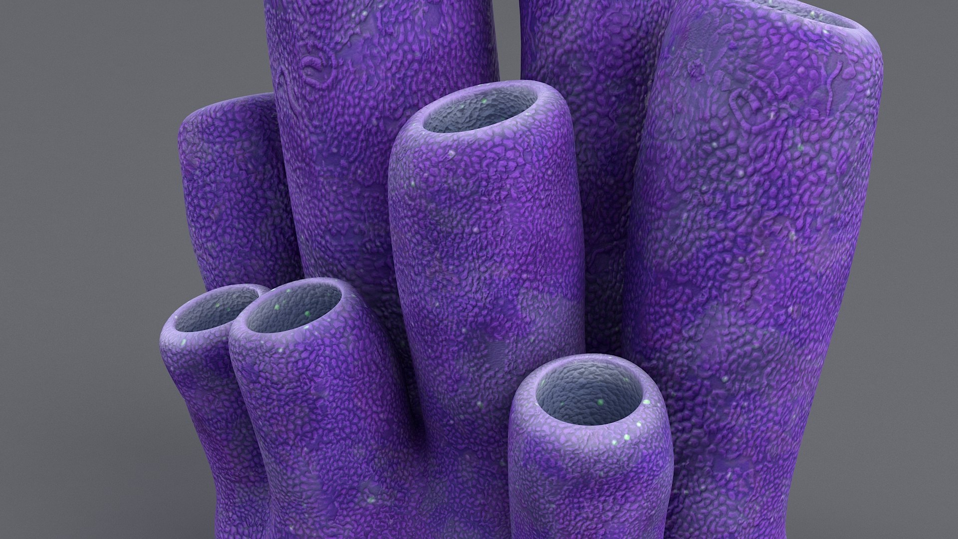 3D Coral Tubes - TurboSquid 1478549