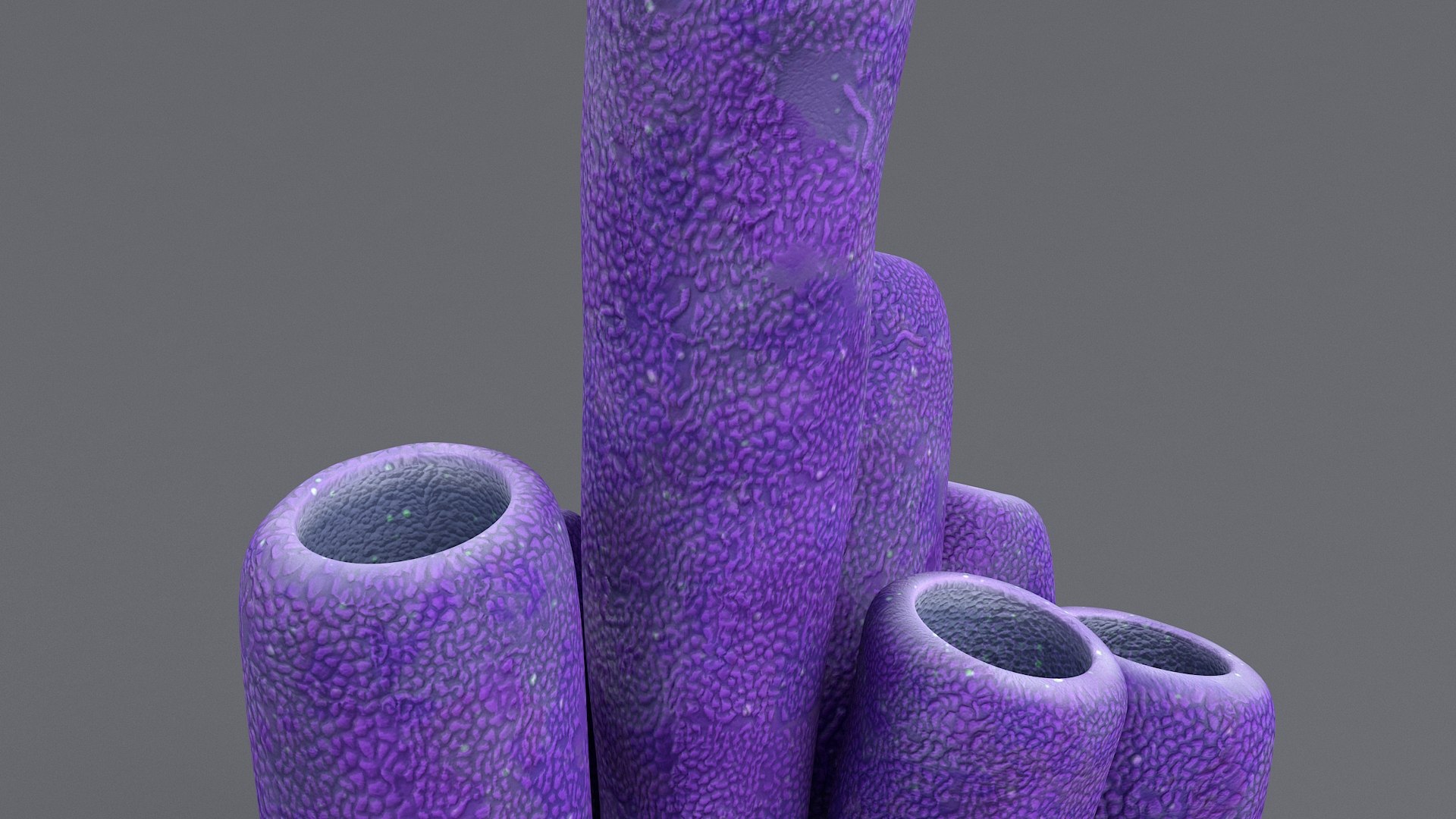 3D Coral Tubes - TurboSquid 1478549