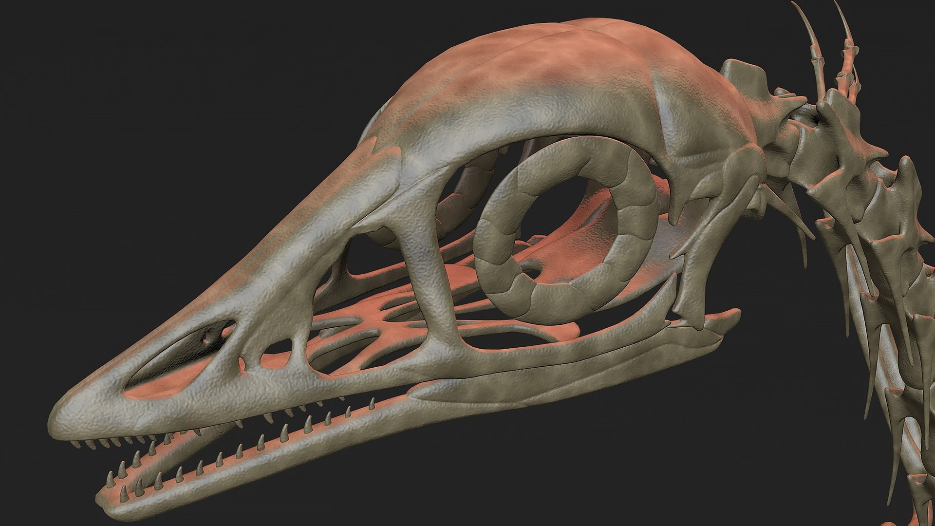 Archaeopteryx Skeleton 3D - TurboSquid 1228788